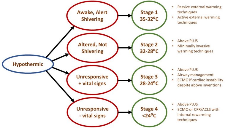 A Case and Discussion of Accidental Hypothermia in the Setting of ...
